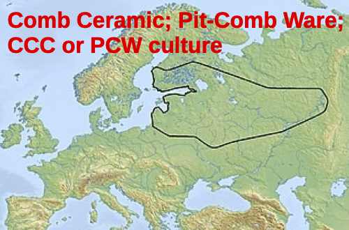 A neolithic culture existed in northern Europe. It was the Comb, Pit ...