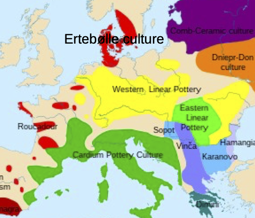 Ertebølle is a neolithic culture. Particular to northern Germany ...