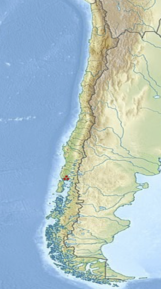 The Monte Verde II site has been considered key evidence showing that ...